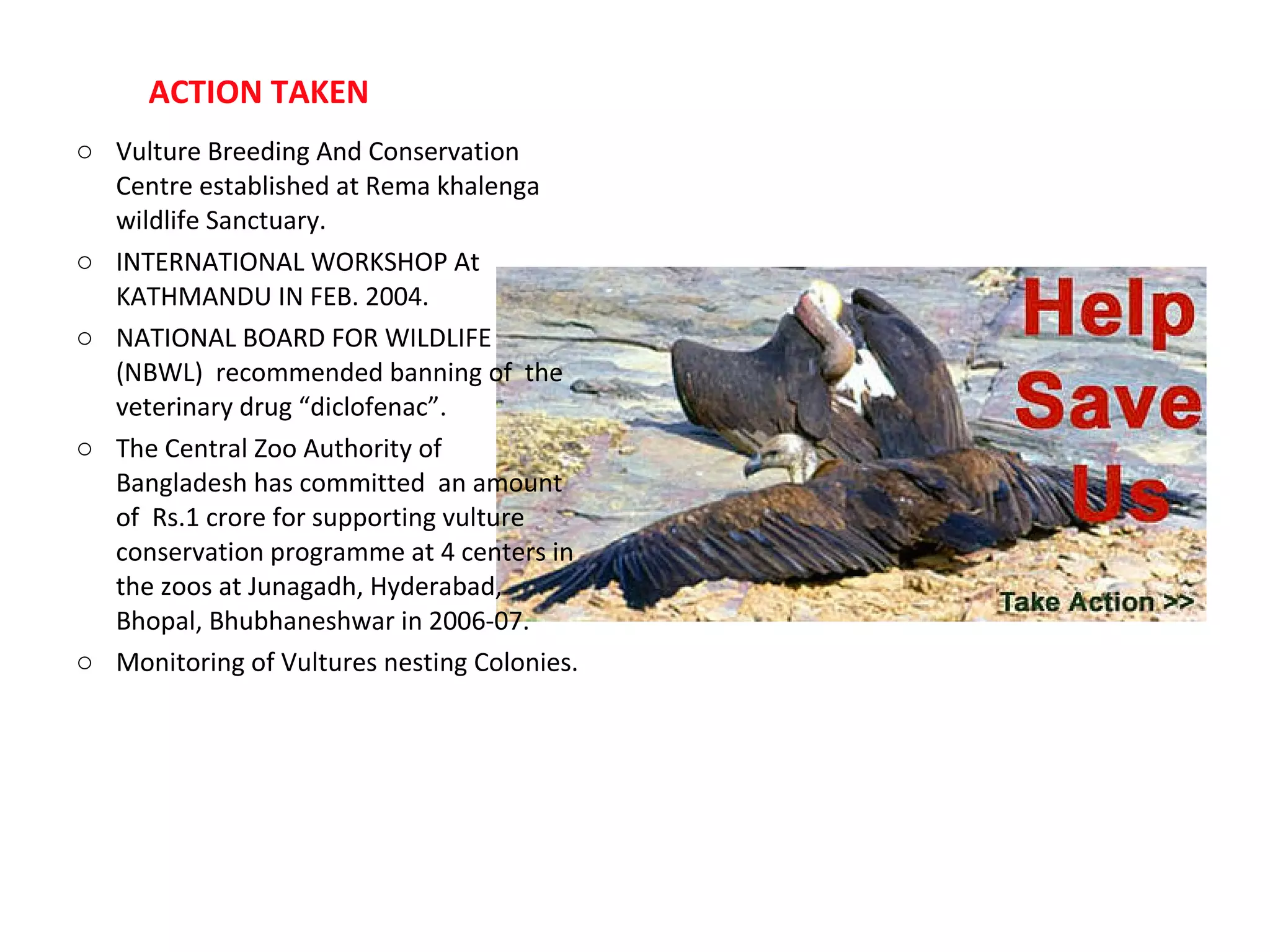 Vulture awareness day presentation | PPT