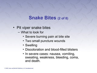Animal Bites WITH ITS IMPLICATIONS4438619.ppt