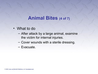 Animal Bites WITH ITS IMPLICATIONS4438619.ppt