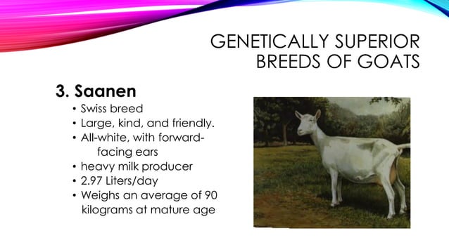 443979993-06-RAISE-ORGANIC-SMALL-RUMINANTS.pdf