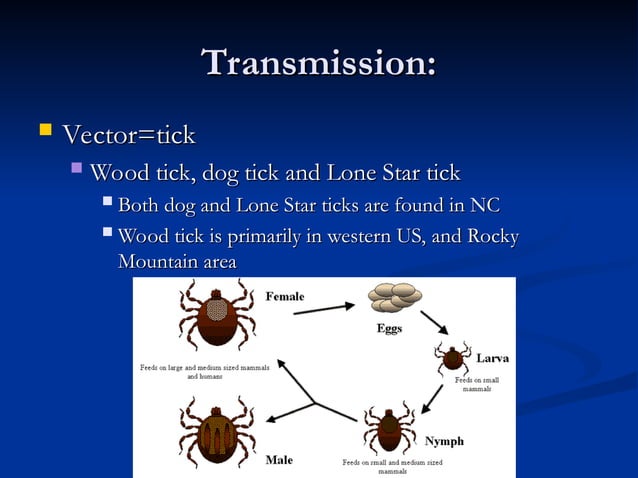 Rocky mountain fever symptoms diagnosis and management | PPT