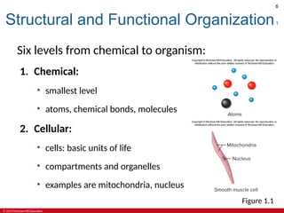 0098444187825-ch01-lecture-ppt-a1-1.pptx