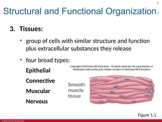 0098444187825-ch01-lecture-ppt-a1-1.pptx
