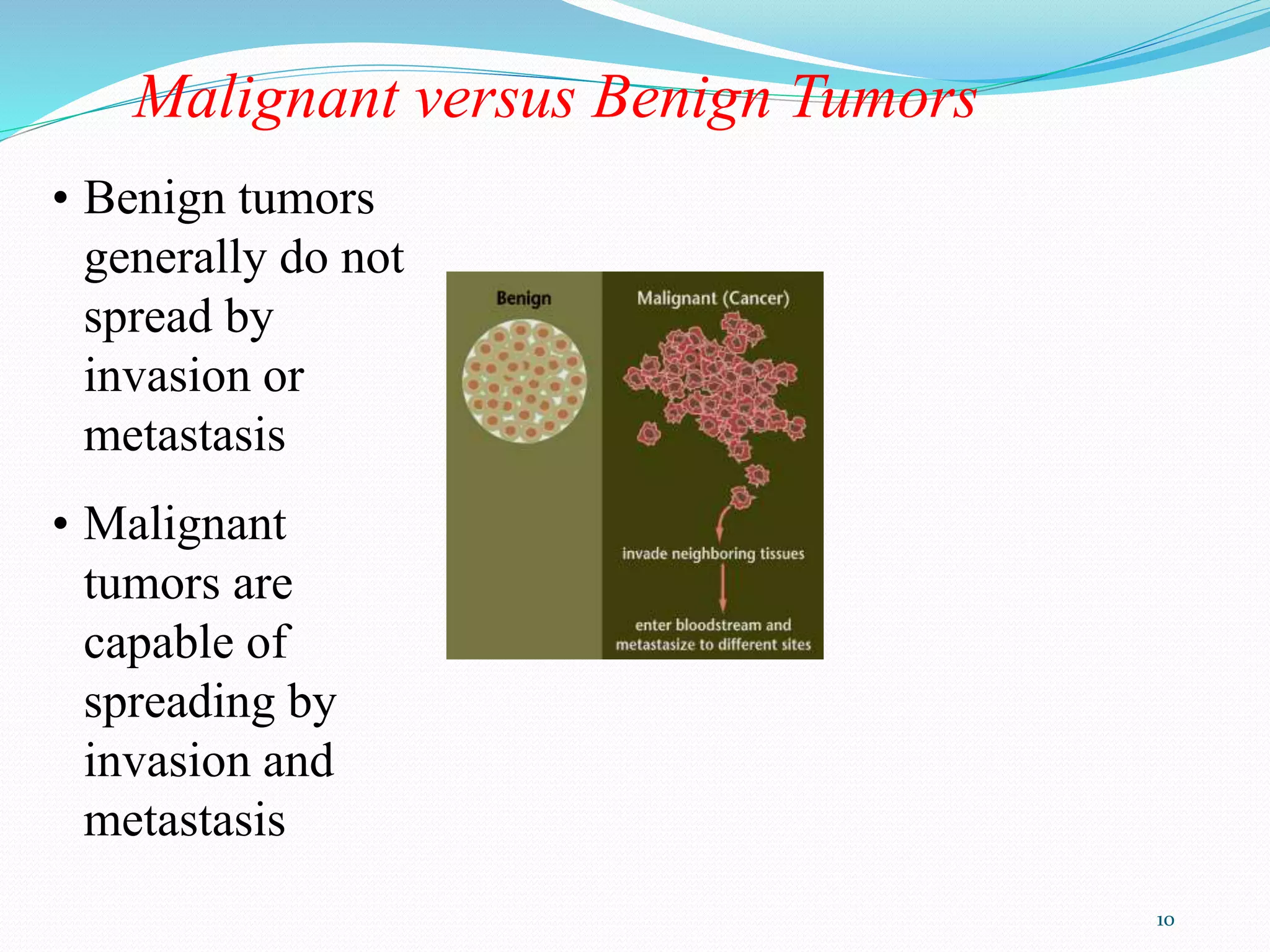 Molecular Basis of Cancer | PPTX