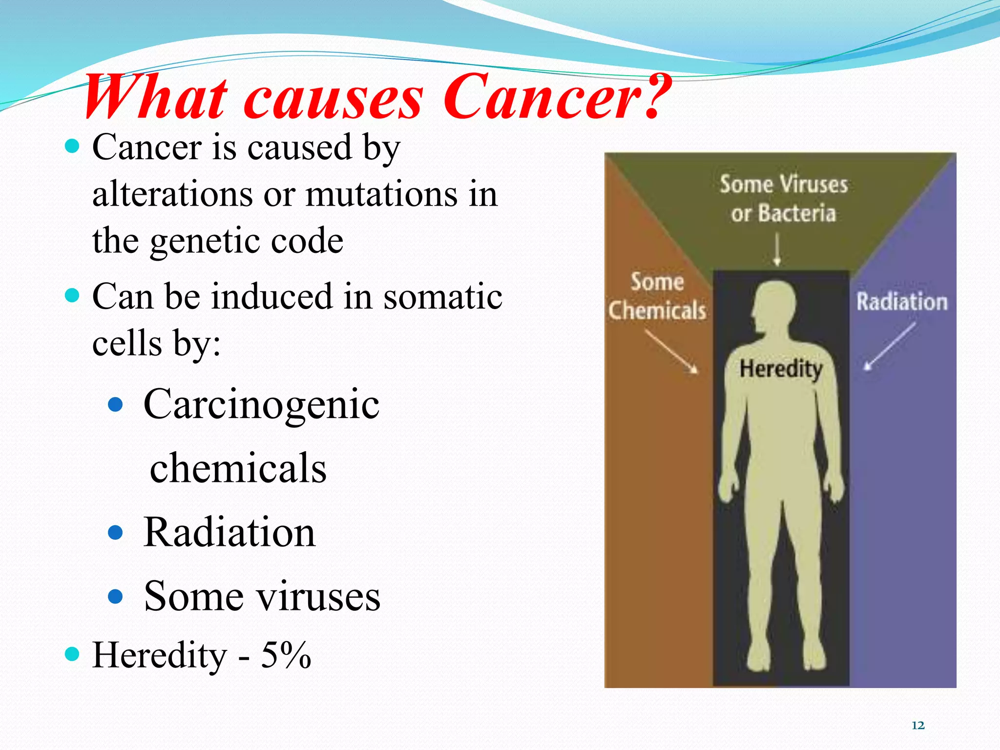 Molecular Basis of Cancer | PPTX