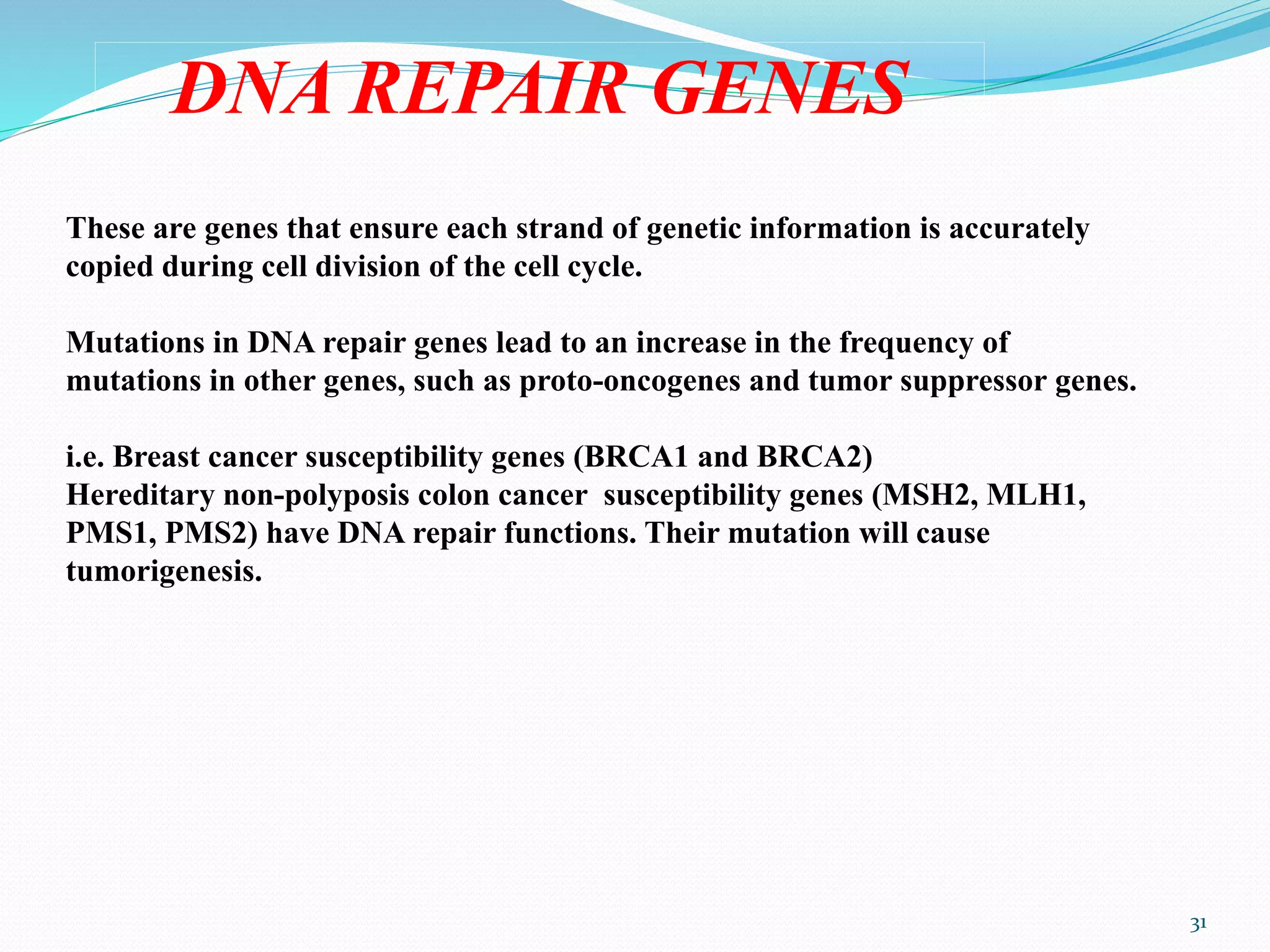 Molecular Basis of Cancer | PPTX