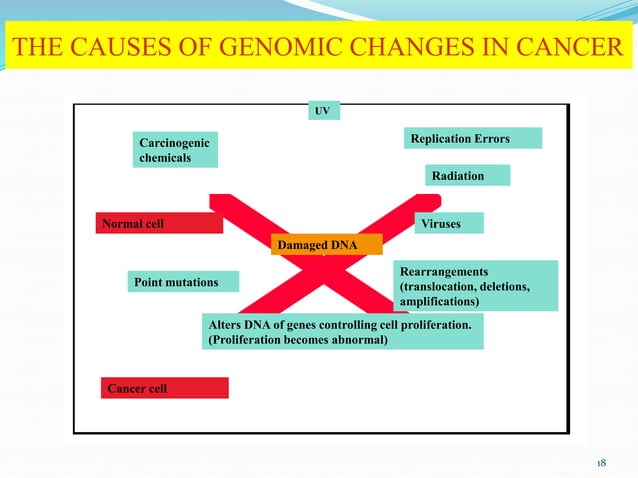 Molecular Basis of Cancer | PPTX | Cancer | Diseases and Conditions