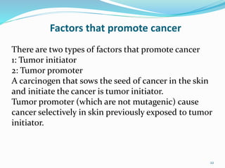 Molecular Basis of Cancer | PPTX