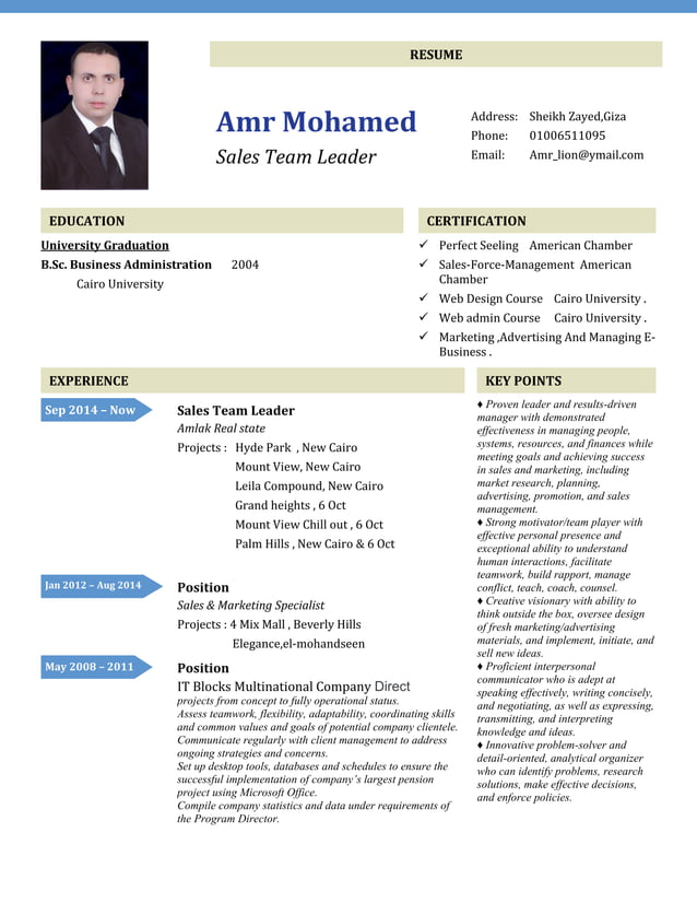 amr cv | PDF