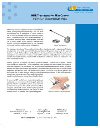 44601 icci valencia flyer v2 | PDF