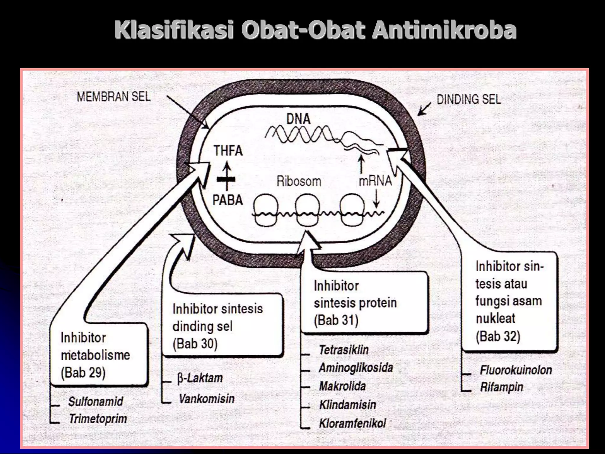 447208748-4-ANTI-MIKROBA-ppt.ppt