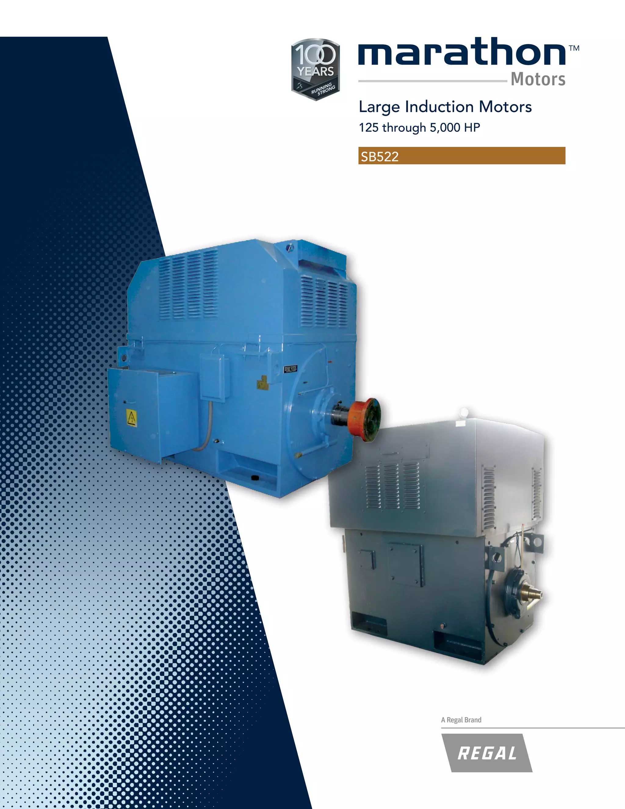 SB522 Large Induction Motors Brochure | PDF