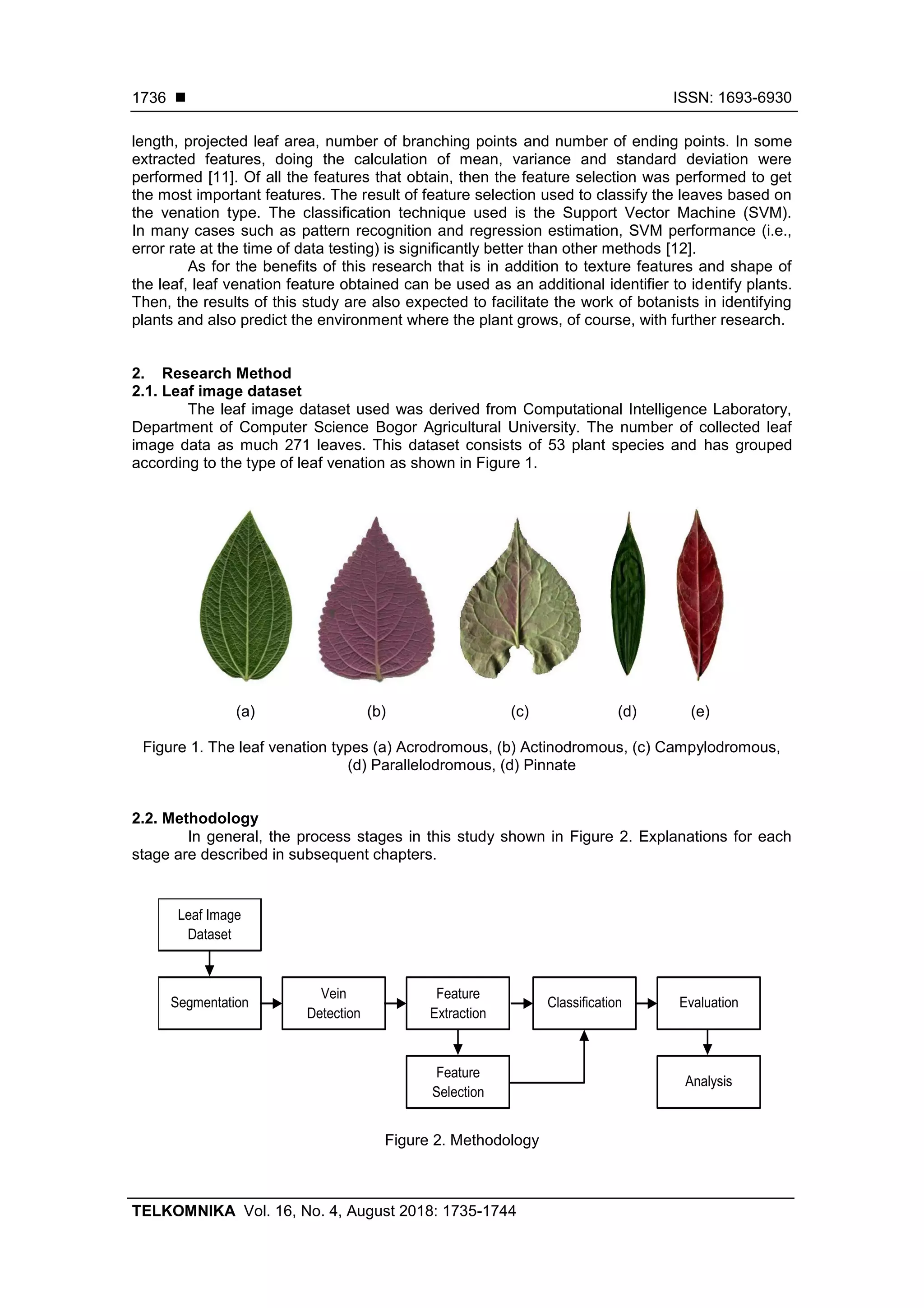 Biometric Analysis of Leaf Venation Density Based on Digital Image | PDF | Gardening | Home & Garden