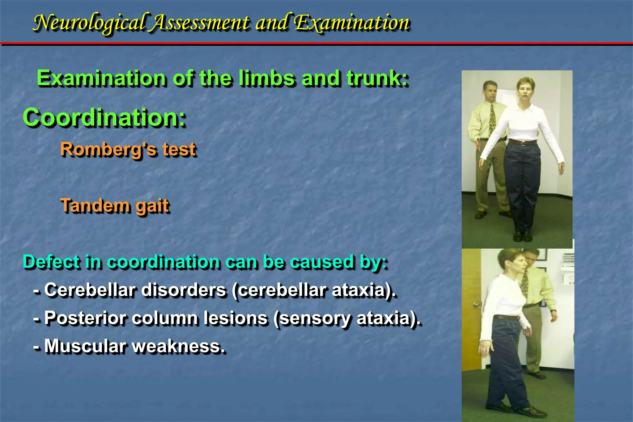 447409371-78222493-Neurological-Assessment-and-Examination-1-ppt.ppt