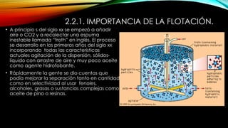 447913177-Flotacion-importancia-tipos-y-fundamentos.pptx