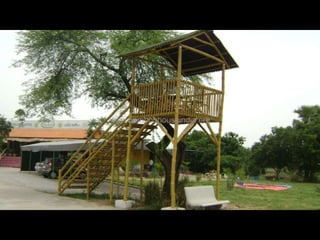 Bamboo Structure on Elevated Platform | PPTX