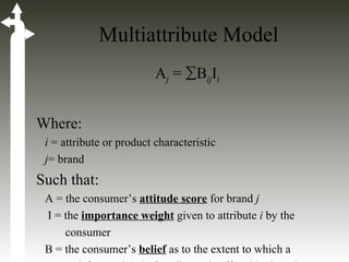 Forming attitudes | PPT