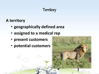 territory AYMAN | PPTX