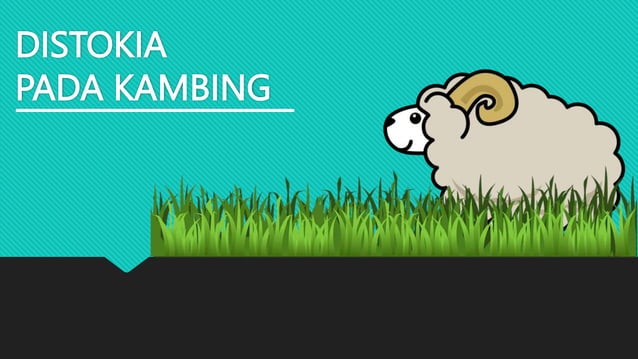 448439884-Distokia-Pada-Kambing.pptx