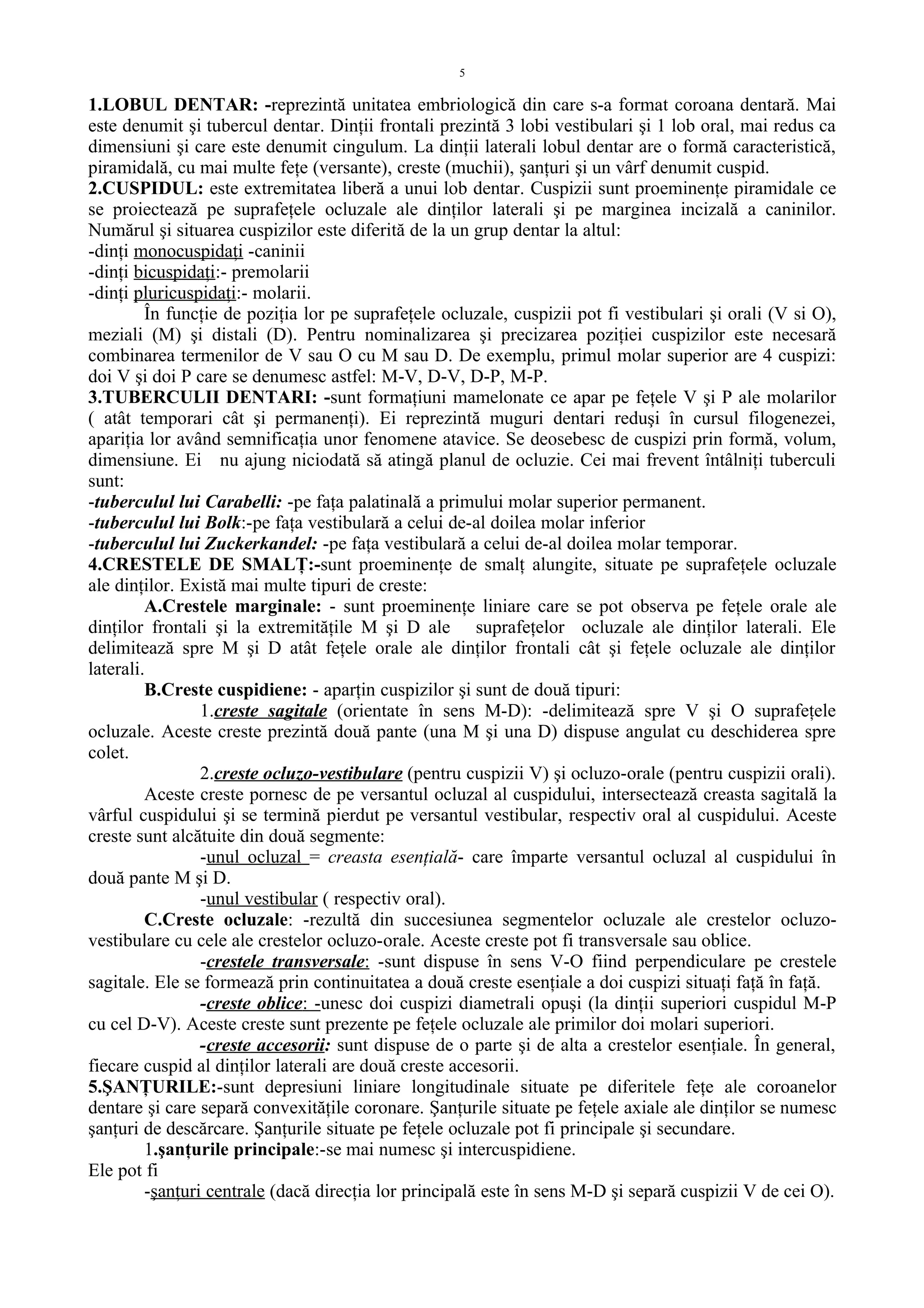 44851220 morfologia-dintilor | PDF