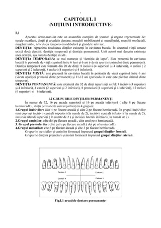 44851220 morfologia-dintilor | PDF