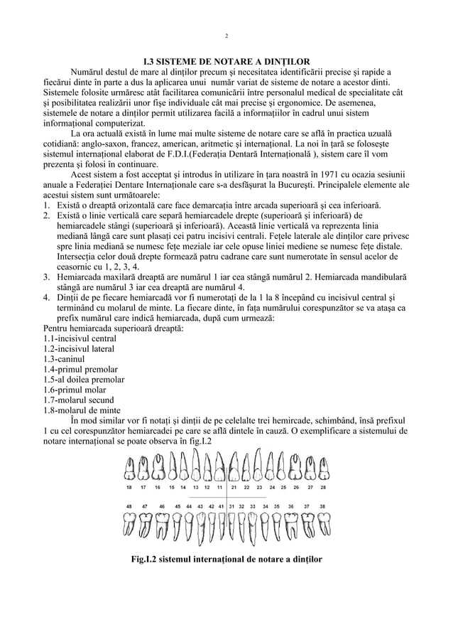 44851220 morfologia-dintilor | PDF