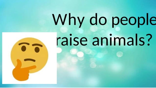 448777012-------animal------raising.pptx