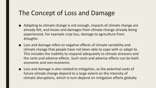 Presentation to DMC & CCS on COP22 & Loss and Damage | PPT