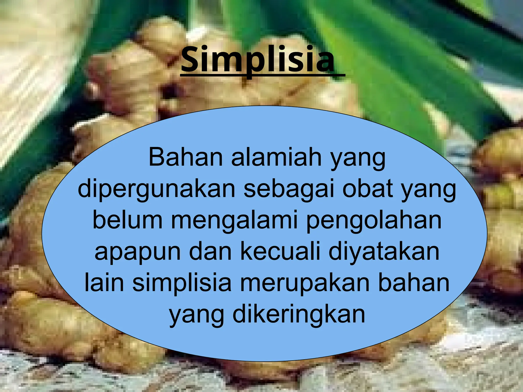 449044736-360056335-Cara-Pembuatan-Simplisia-ppt.ppt