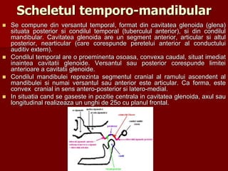 ATM-PPT-ppt.ppt