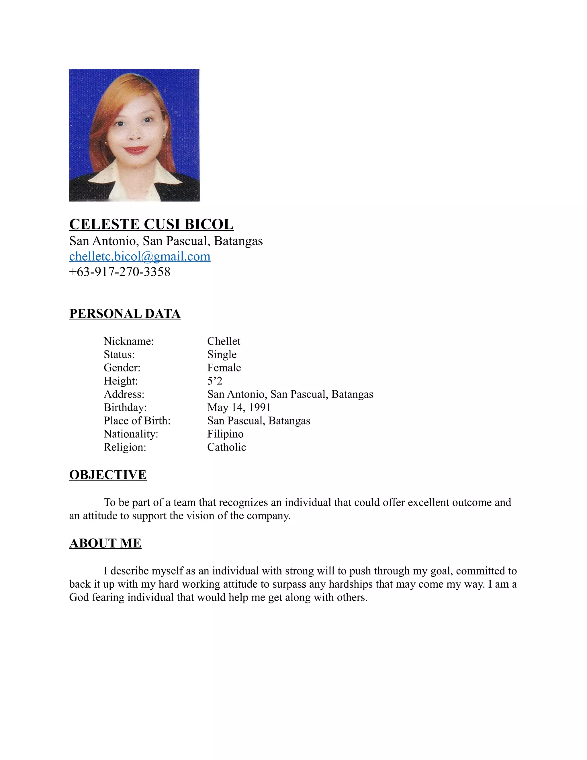 CHELLET CV | RTF