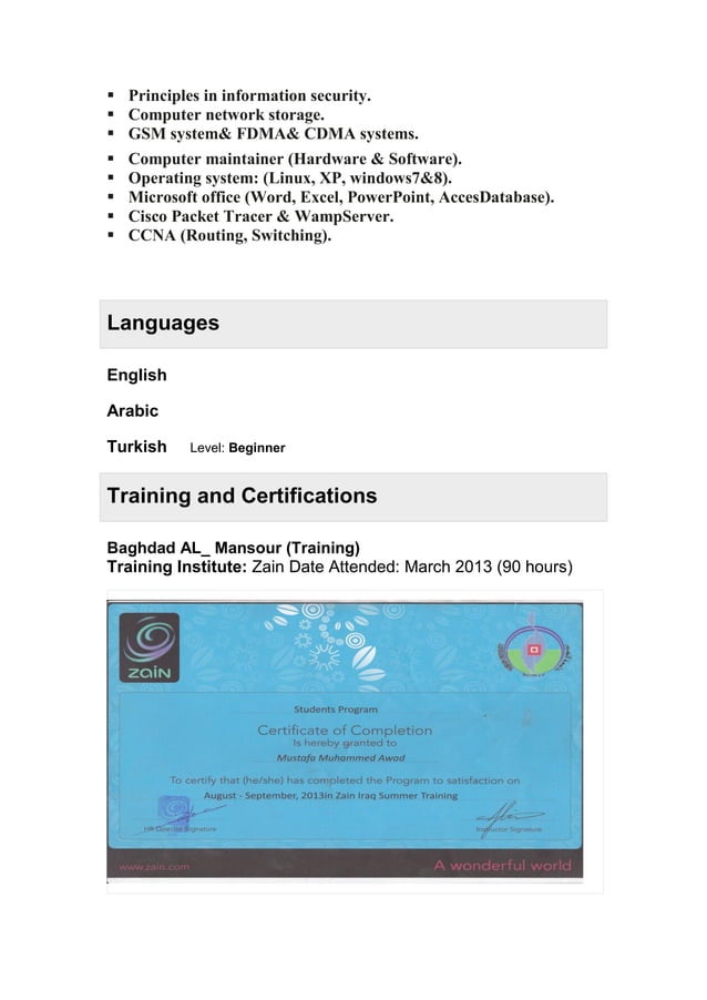 CV Mustafa Muhammed Awad | PDF