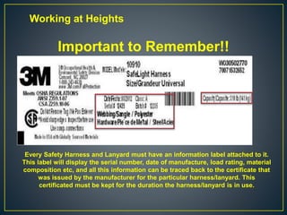 Working at Height - Safety Harness Inspection | PPSX