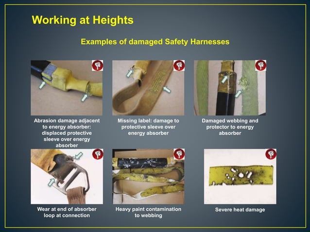 Working at Height - Safety Harness Inspection | PPT