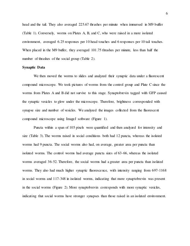 Compound Microscope Lab Report IBG 102 Group 2 Lab Report 1 2019 02 15 Compound Microscope Lab Report IBG 102 Group 2 Lab Report 1 2019 02 15