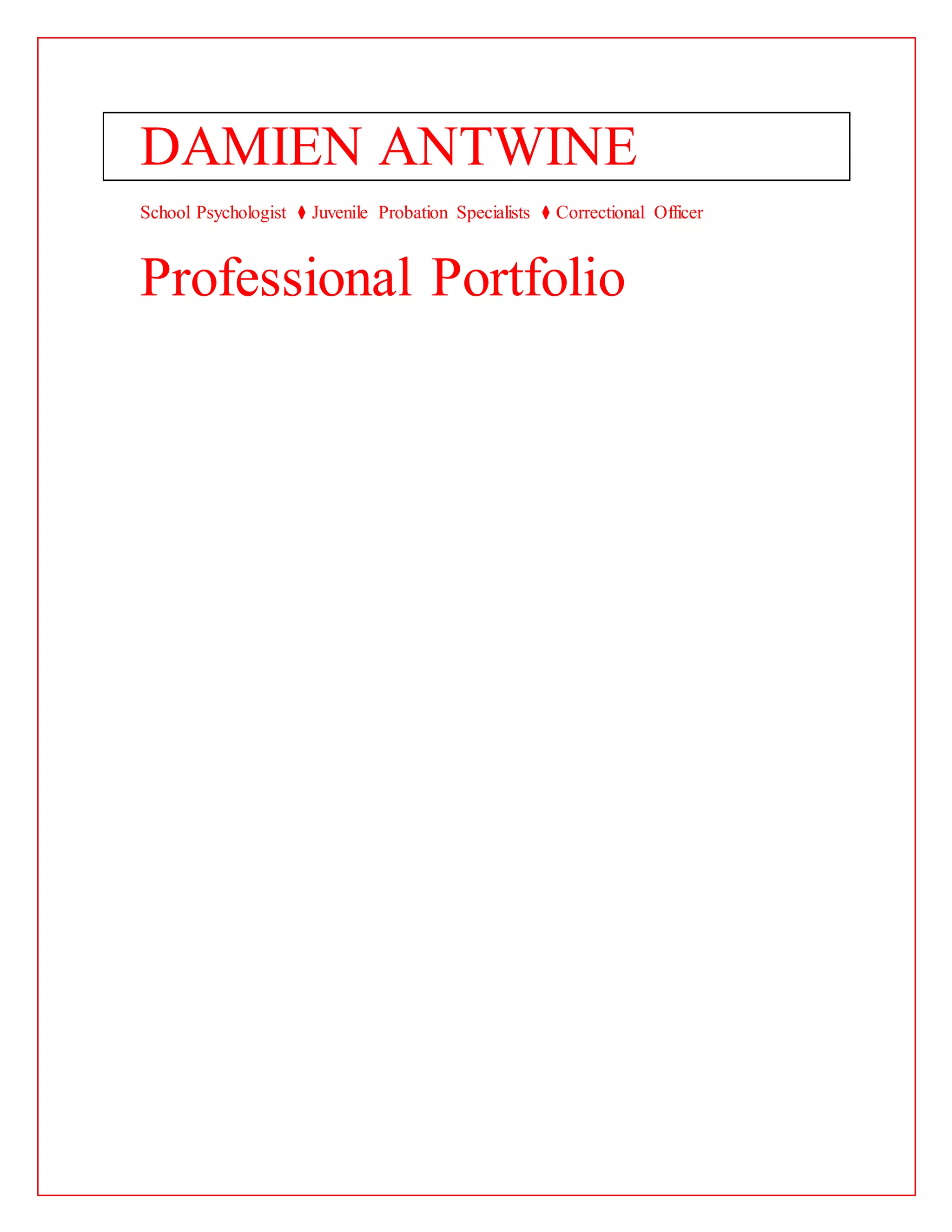 damien professional portfolio | DOCX