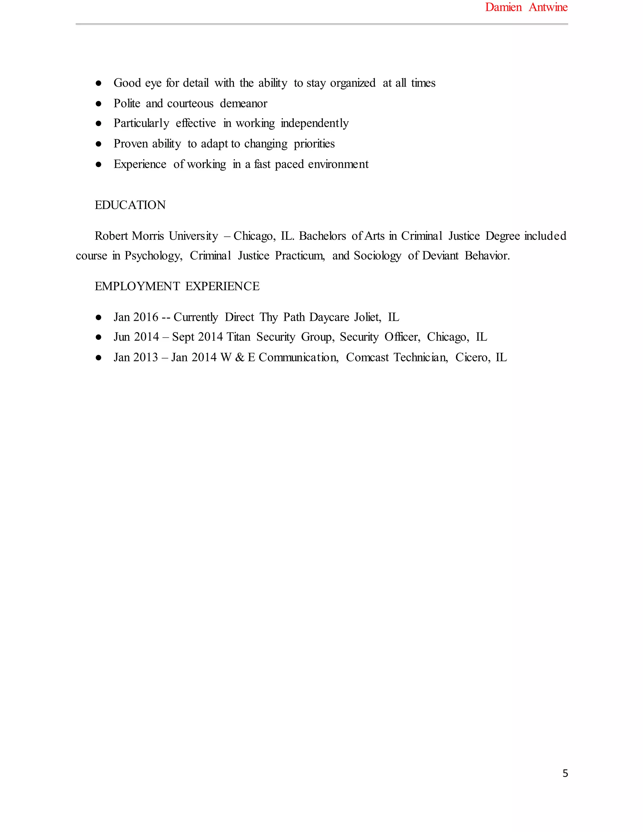 damien professional portfolio | DOCX