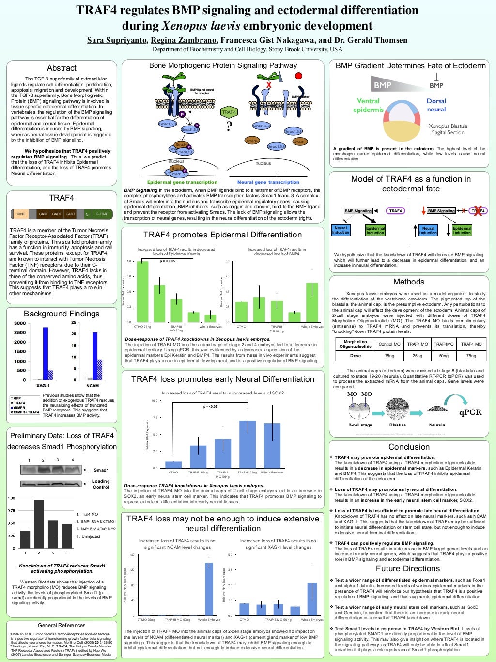 URECA poster - Sara Supriyatno & Regina Zambrano