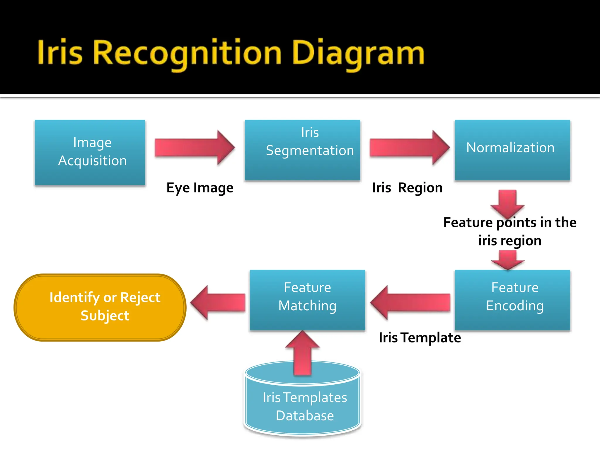 Iris information security recognatio.ppt