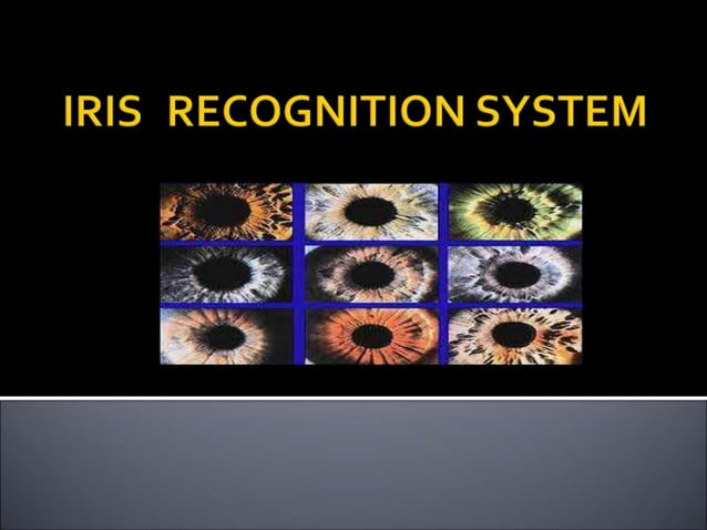 Iris information security recognatio.ppt
