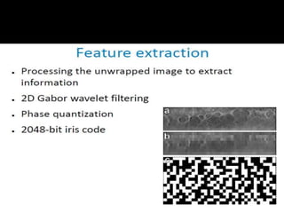 Iris information security recognatio.ppt