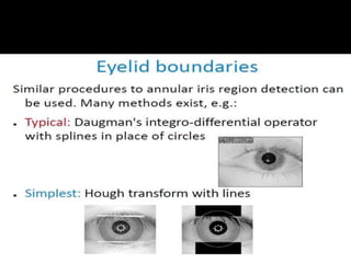 Iris information security recognatio.ppt