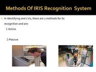 Iris information security recognatio.ppt