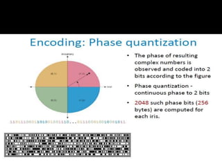 Iris information security recognatio.ppt