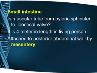 Digestive system[1] | PPT