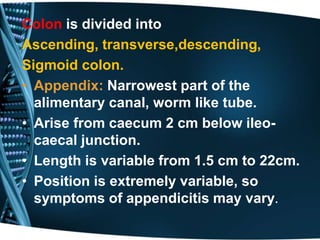 Digestive system[1] | PPT