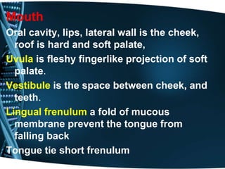 Digestive system[1] | PPT