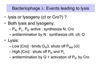 4_4_lambda_decisions.ppt