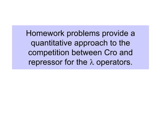 4_4_lambda_decisions.ppt