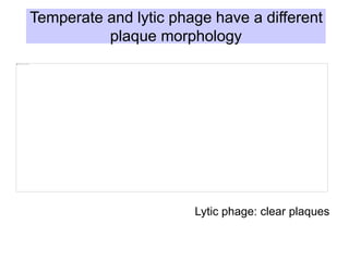 4_4_lambda_decisions.ppt